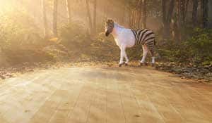 Klöpfer Holzhandel Online Shop | Ter Hürne Hywood